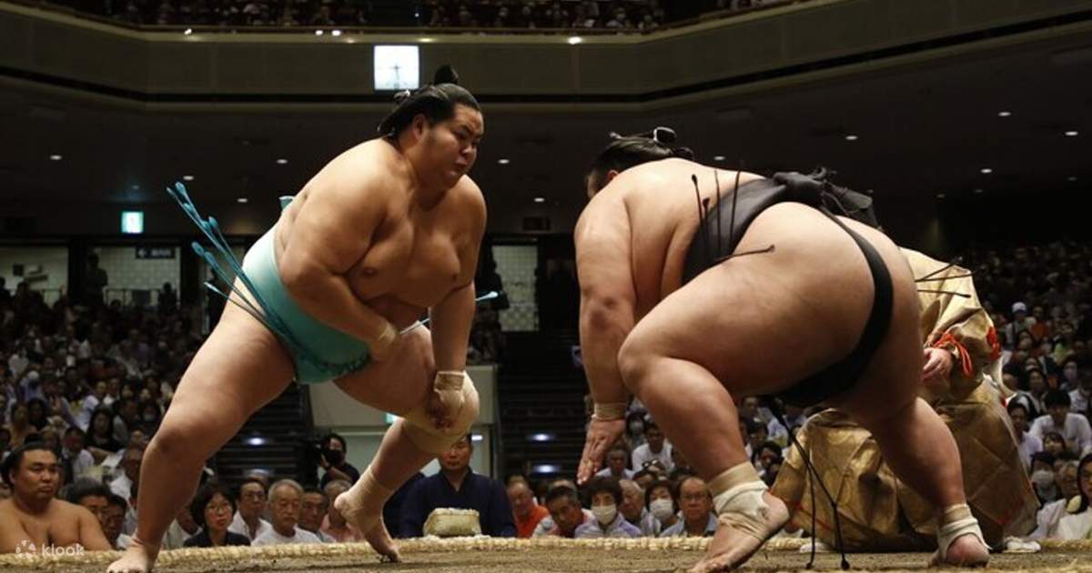 Nagoya Sumo Tournament Tour in July with Tickets - Klook